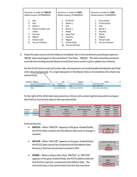 Sap Address Validation Process And Tool Docx