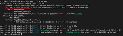 Connect Via Ssh Vivid Unit