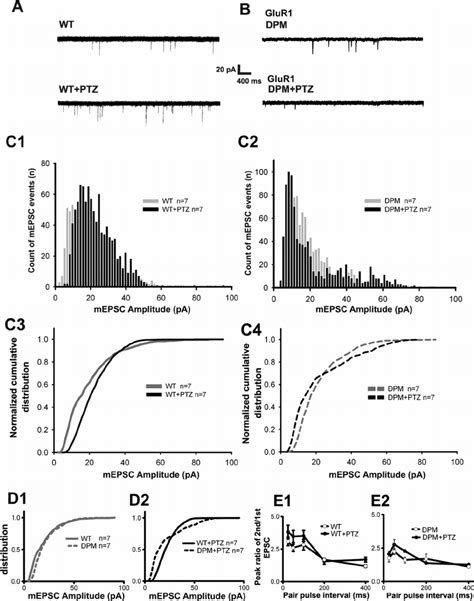 Attenuation Of Enhancement In Hippocampal Hyperexcitability Subsequent
