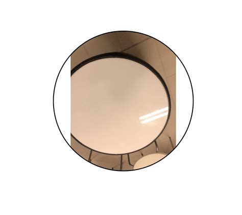 Xcode Unable To Form A Circular Image In Swift Stack Overflow