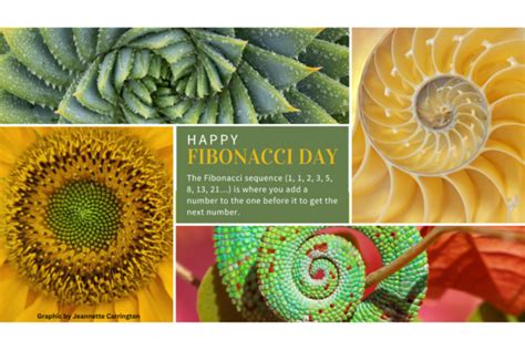 Fibonacci Day The Bridge