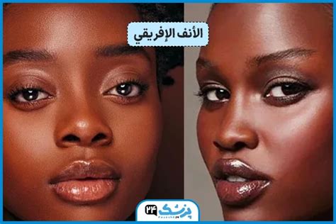 انواع الانف أشكال الأنف واسمائها بزشک 24