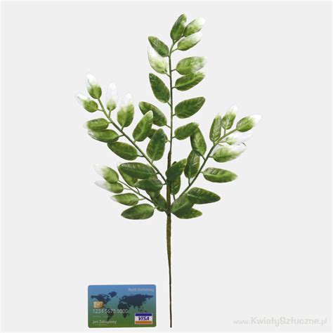 Akacja A333g Dodatki I Wypełniacze