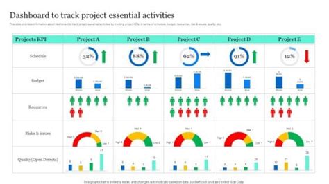 Project Excellence Playbook For Executives Dashboard To Track Project