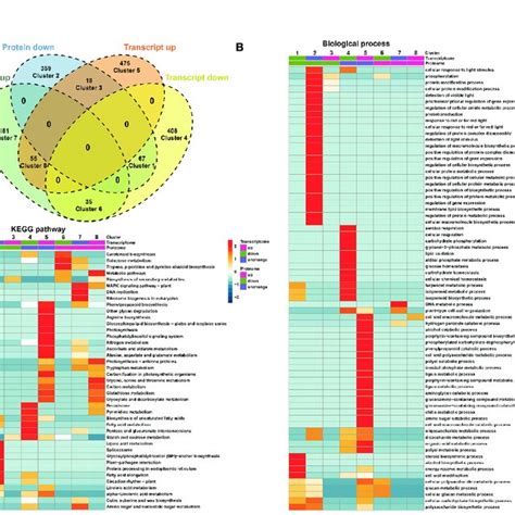 Correlation Analysis Between Degs And Deps A Venn Diagram Showing