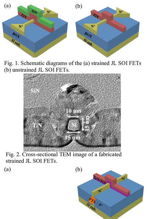 Schematic Diagrams Of The A Strained Jl Bulk Finfets B Unstrained Download Scientific