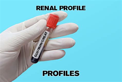 Renal Profile Quality Diagnostic Laboratory