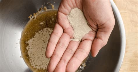 How To Store Yeast Long Term Extend Its Life