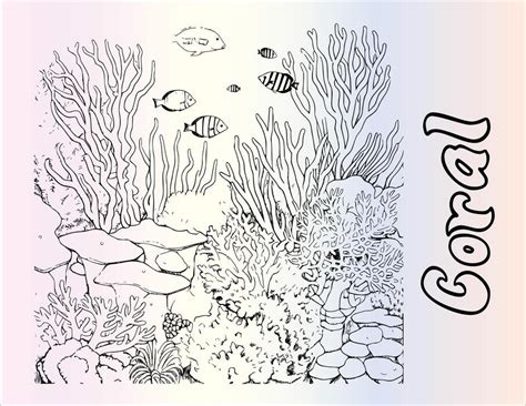 Coral Reef Outline Vector Art Icons And Graphics For Free Download