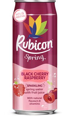 Softs Packaged - Rubicon Spring Sparkling Orange Mango, Can 330 ml x 12 ...