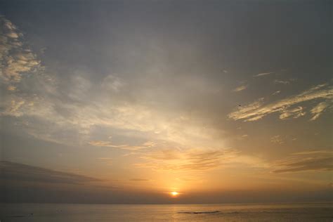 In Search Of A Good Sex Jitendra Panda