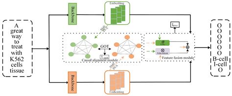 harnessing causal structure alignment for enhanced cross domain named