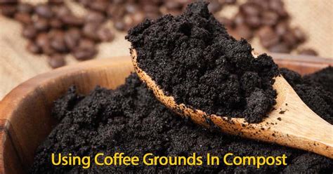 How To Compost Coffee Grounds A Guide