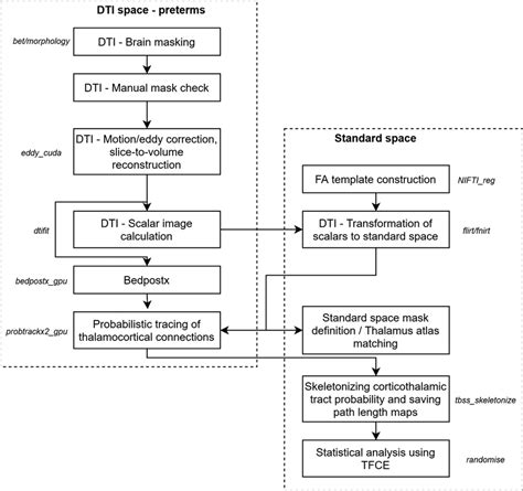 Overview Of The Diffusion Tensor Imaging Dti Processing Steps