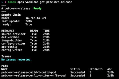 Show Workload Type In Workload List And Get Output · Issue 223 · Vmware Tanzuapps Cli Plugin