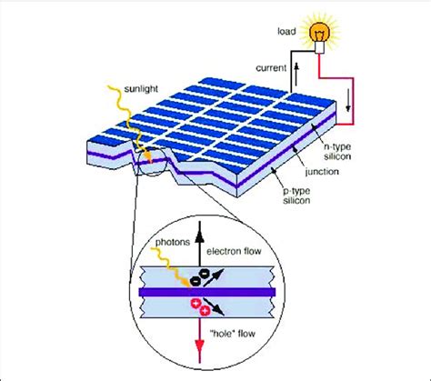 Schematic Of The Basic Structure Of A Silicon Solar Cell Adapted From