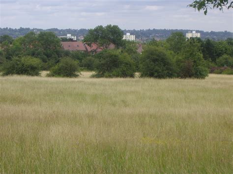 Stanmore Common The Untold History And Mysteries Harrow Online Stanmore Common The Untold History And Mysteries Harrow Online