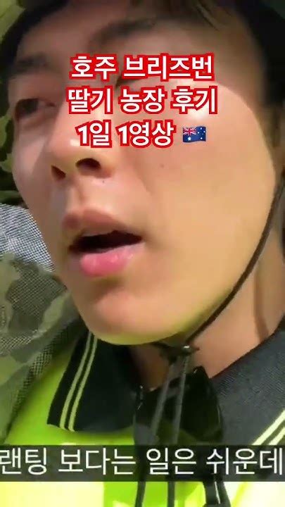호주 딸기 농장 후기 브리즈번 카불쳐 워킹홀리데이 여행유튜버 호주 여행브이로그 여행크리에이터 여행 Australia