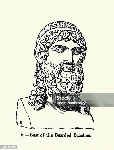 수염 바쿠스의 흉상 농업 와인과 다산의 로마 신 고대 로마 동상 신화 예술사 조각 고대 그리스에 대한 스톡 벡터 아트 및 기타 이미지 Istock