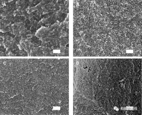 精品干货：sci论文中怎样描述sem结果？ 哔哩哔哩