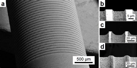 Scanning Electron Micrographs Of A Test Samples A Shows A Titanium