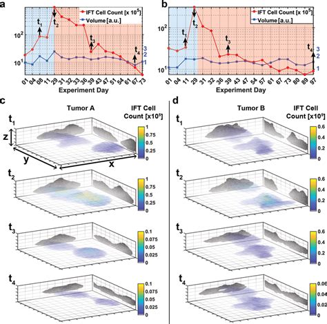 Longitudinal Molecular Imaging Of Tumor Development Using IFT A B Download Scientific Diagram