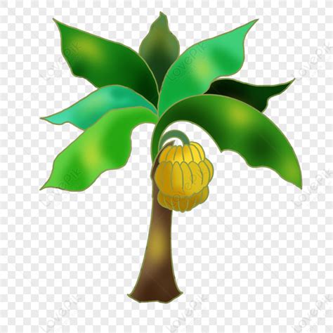 프놈펜 스티커 바나나 나무 일러스트 클립 아트 Png 일러스트 무료 다운로드 Lovepik