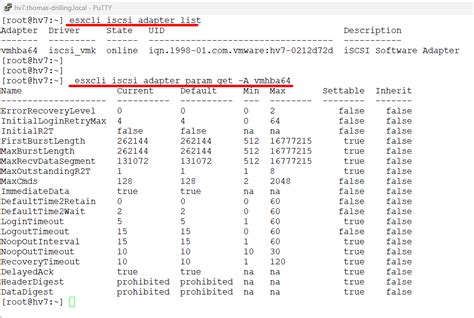Esxi Kommandozeile Die 25 Wichtigsten Esxcli Befehle Windowspro
