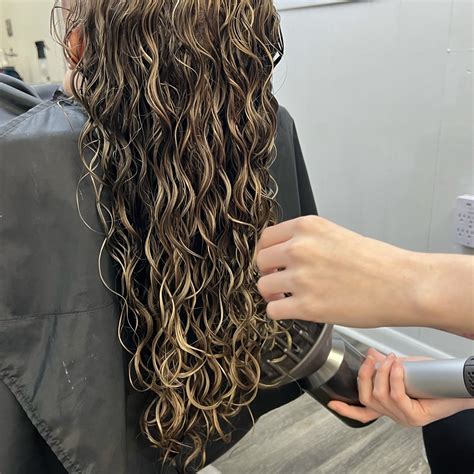 Diffusing Hair Choosing Between Heat And No Heat Methods Salon San Carlos