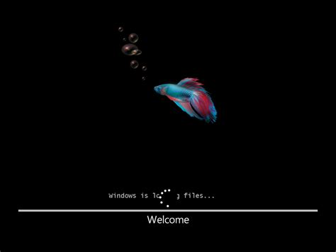 File Bug Windows 8 Build 7997 Garbled Boot Screen Png BetaWiki