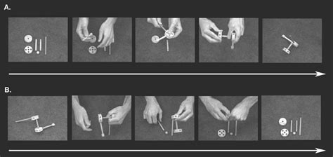 Sample Stimuli And The Object Assembly Task Subjects Watched Video Download Scientific Diagram