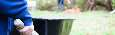 How To Get Rid Of Squirrels Updated For