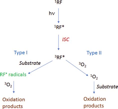 Scheme Of The Photosensitized Oxidation Mechanisms Mediated By