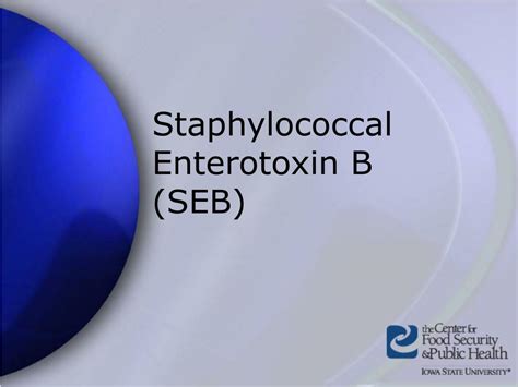 Ppt Staphylococcal Enterotoxin B Seb Powerpoint Presentation Free Download Id 142060