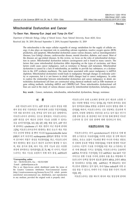 Pdf Mitochondrial Dysfunction And Cancer