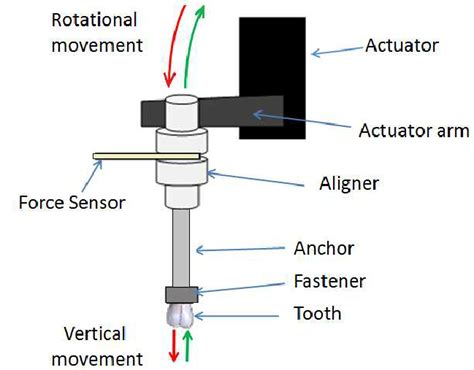 Principle Of Force Actuation Download Scientific Diagram