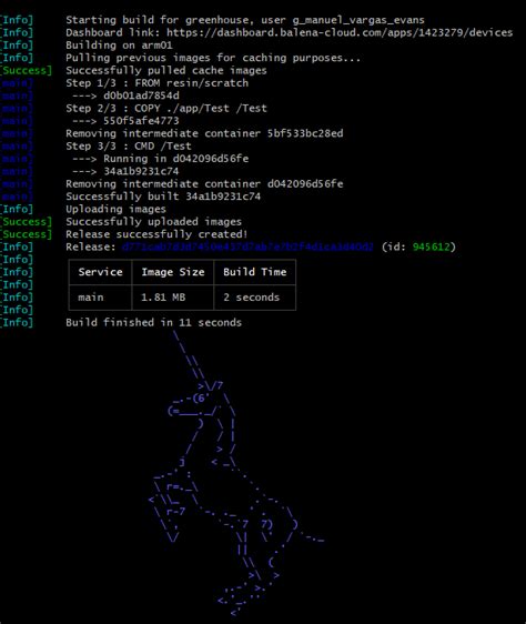 Scratch Image Not Running With A Cross Compiled Go Binary Help Balenaengine Balenaforums