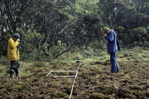 3 School Grounds Vegetation Surveys Hō‘ike O Haleakalā