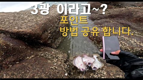 무의도 워킹루어낚시 광어 포인트 및 방법 공유 합니다 Angler Businessman Youtube