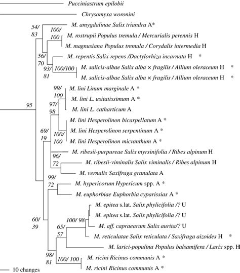 A Partial Translation Elongation Factor 1 Alpha Gene Sequence Bayesian Download Scientific