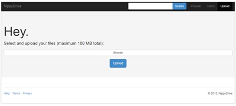 Nippydrive Benefits Storage And Security Concerns 2025
