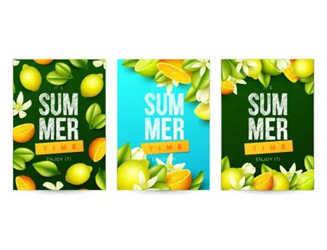 وکتور بنر تابستانه سبز گرافیک با طعم تربچه