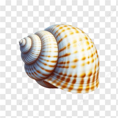 Icon For Windows 7 Shell Illustrating A Contemporary Design That