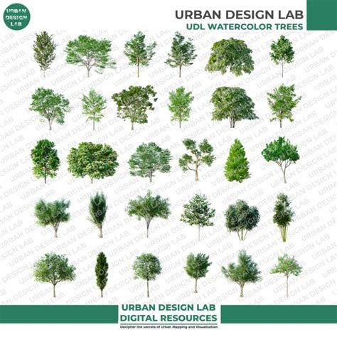 Set Of 30 Realistic Trees With Transparent Background