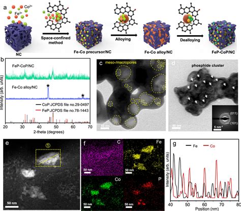 The Schematic Synthetic Procedure And Characterizations Of Fepcopnc