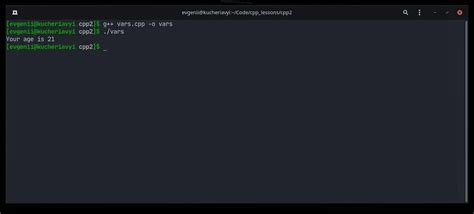 Как объявить переменную без значения в Python простой гайд