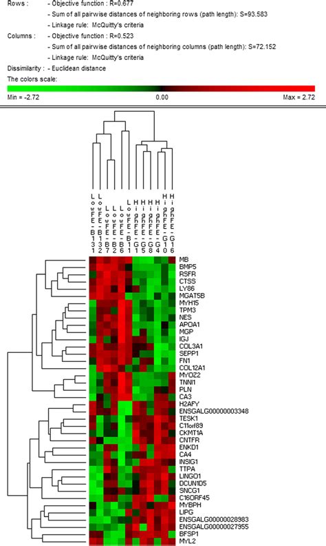 A Hierarchically Clustered Heatmap Showing The Expression Patterns Of