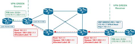 Using MPLS And M LDP Signaling For Multicast VPNs