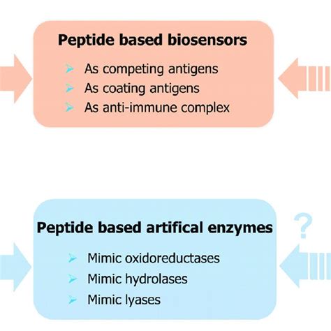 Small Peptides In Mycotoxin Detection And Potential Applications In Download Scientific Diagram