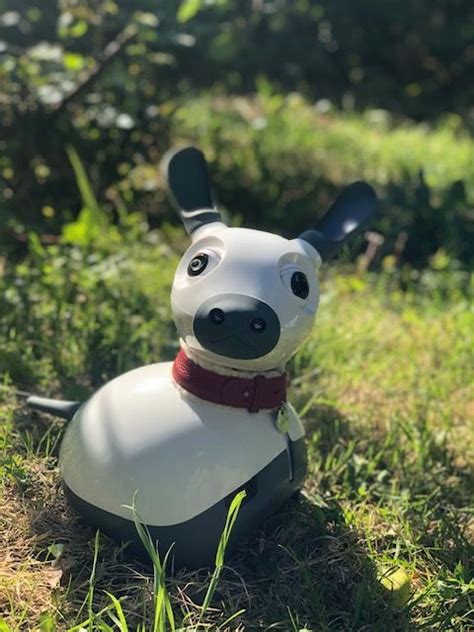 Consequential Robotics On Linkedin Wtisd2022 Wtisd Robotics Coding Programming Robots